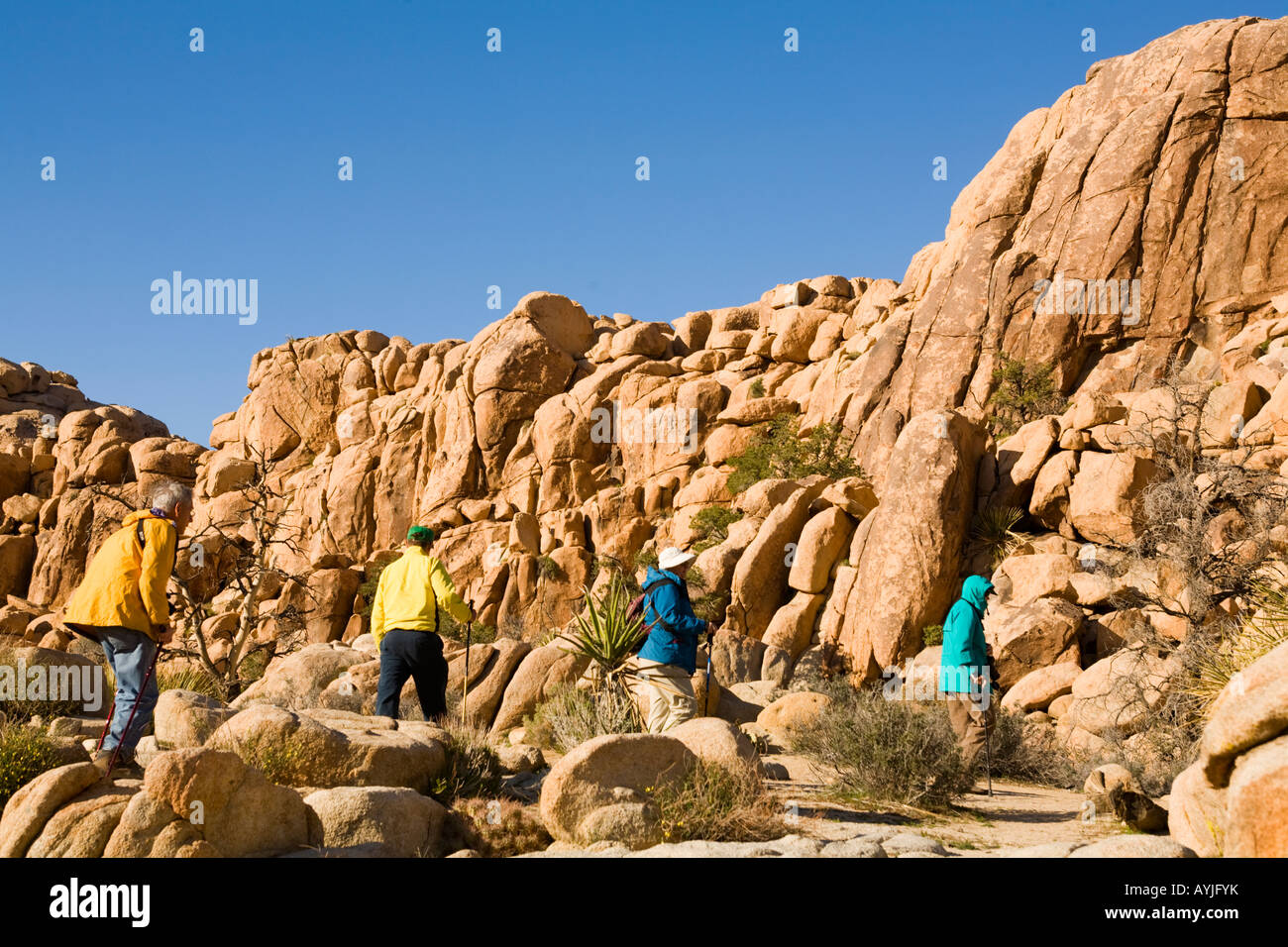 Joshua Tree National Park California hiking in Hidden Valley Stock ...
