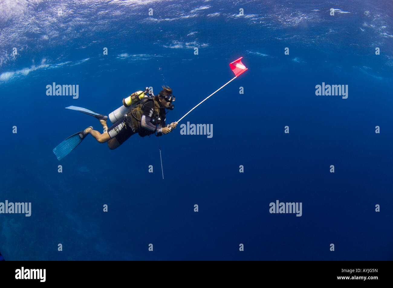 Divers in shallow clear water Layang Layang atoll Sabah Malaysia South ...