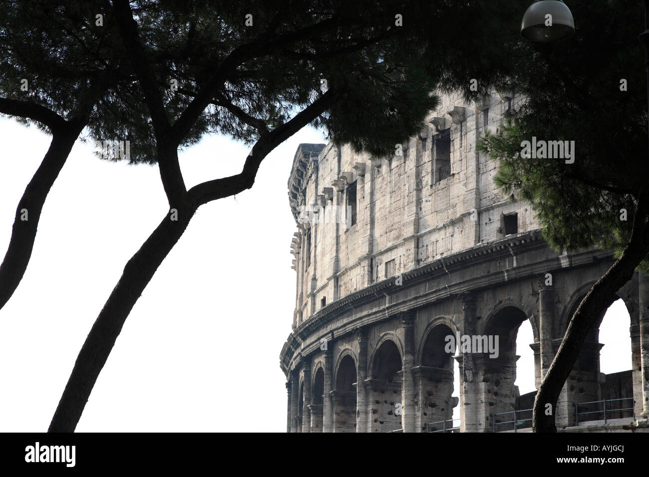 Colosseum Rome close up with trees in foreground Stock Photo - Alamy