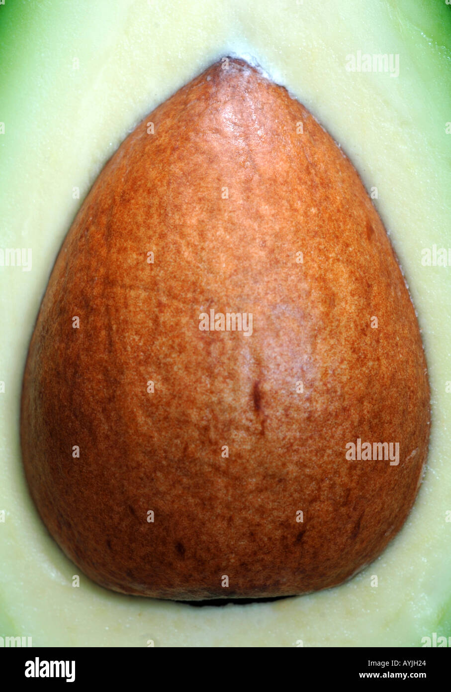 Avocado full colour color food hi-res stock photography and images - Alamy