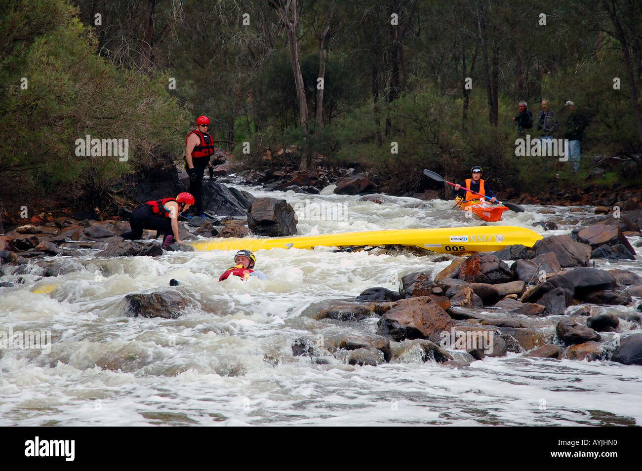 Kayakers competing in the Avon Descent, a famous whitewater race near ...