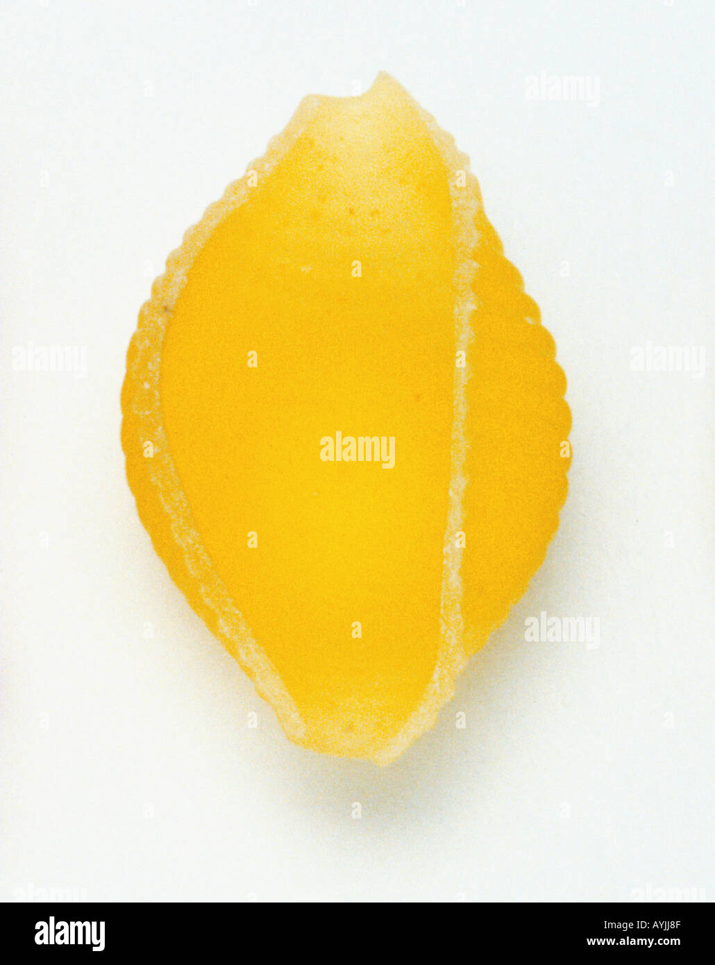 Shell shaped pasta Stock Photo - Alamy