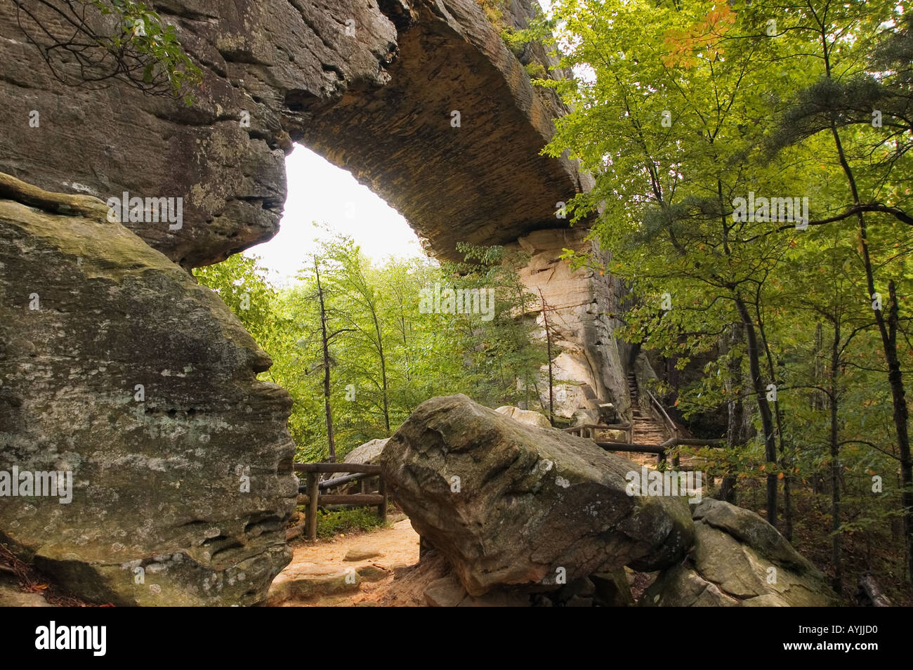 Natural Bridge Arch Natural Bridge State Resort Park Kentucky Stock ...