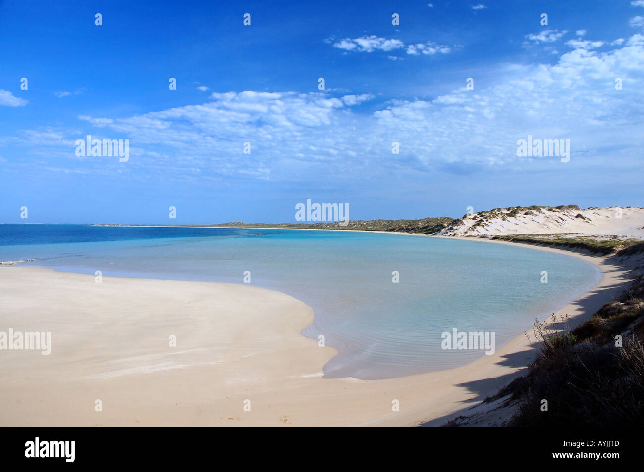 Skeleton coasts park hi-res stock photography and images - Alamy