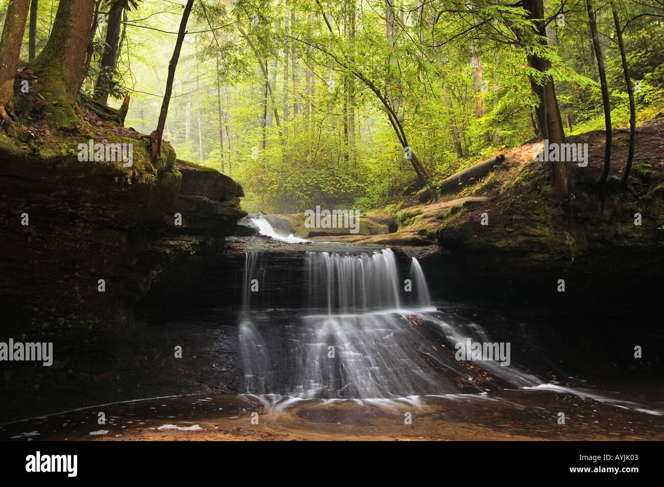 Creation Falls Clifty Wilderness Red River Gorge Geological Area Daniel ...