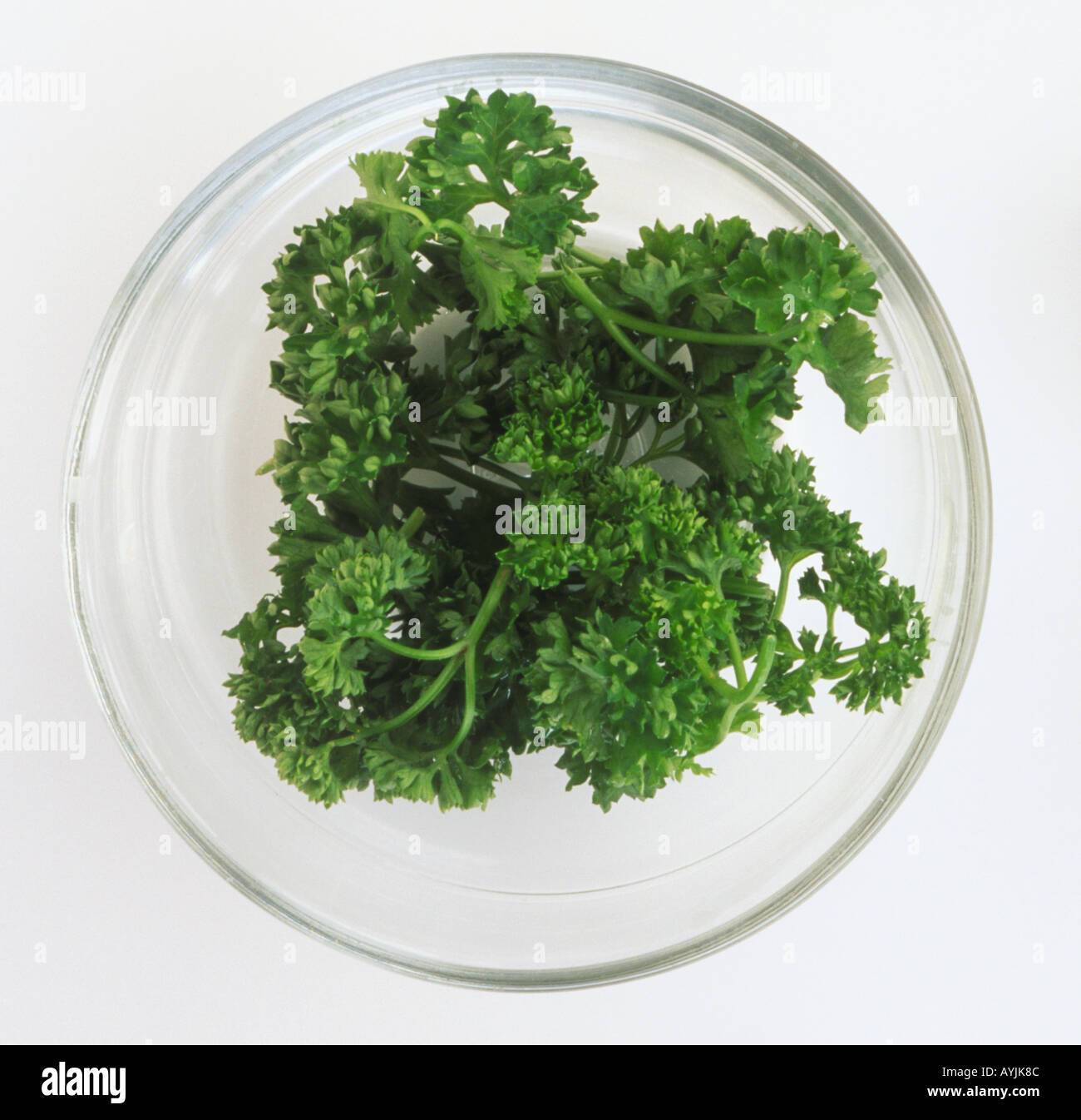 Anchovy fillets tin hi-res stock photography and images - Alamy