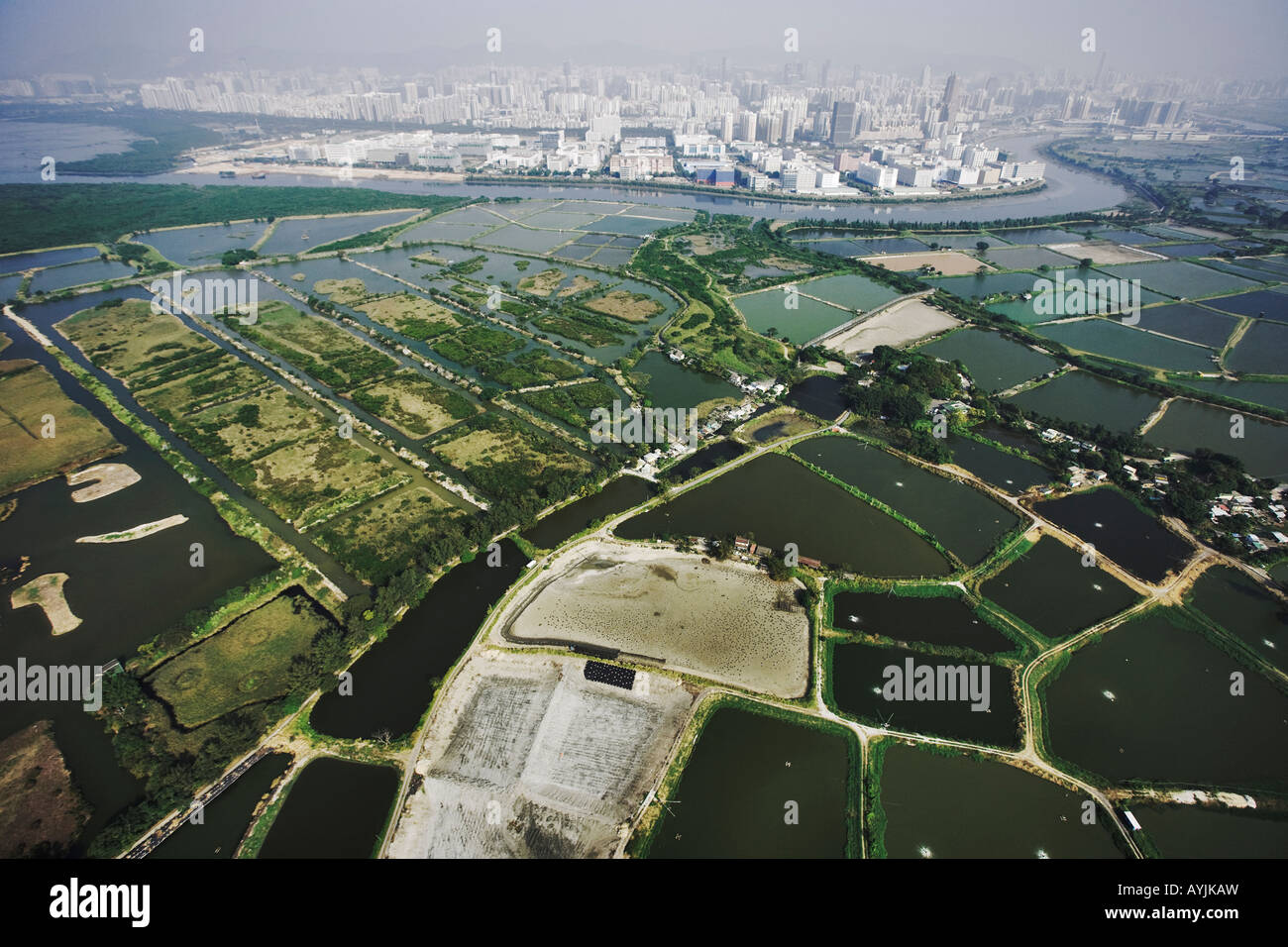 Aerial view of fish ponds in Mai Po Nature Reserve. Shenzhen City China ...