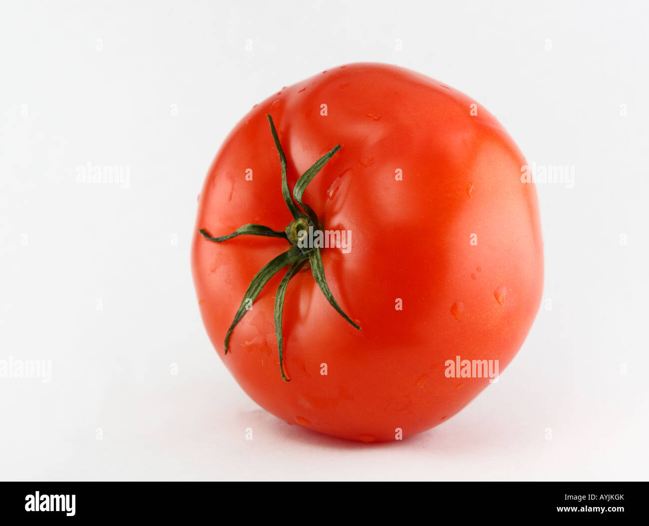 Red tomato, white background Stock Photo - Alamy