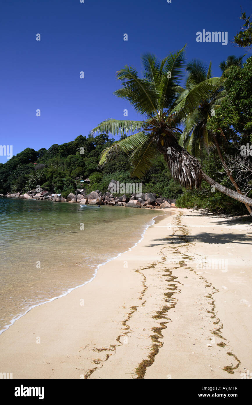 Beach in Praslin Island, Seychelles Stock Photo - Alamy