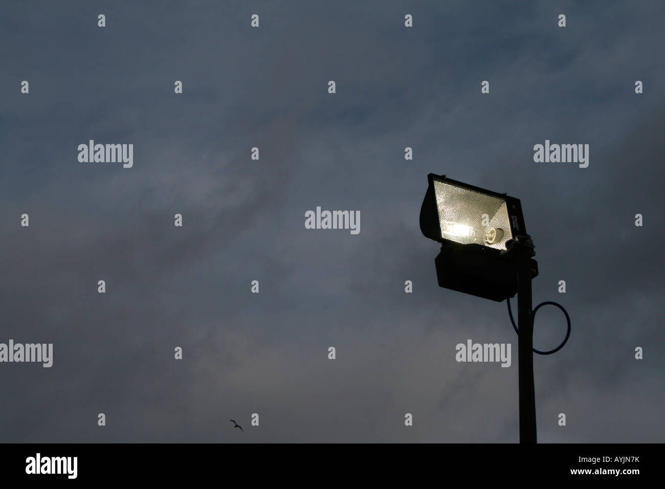 one security light on building site at night Stock Photo - Alamy