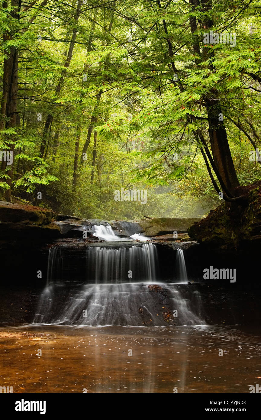 Creation Falls Clifty Wilderness Red River Gorge Geological Area Daniel ...