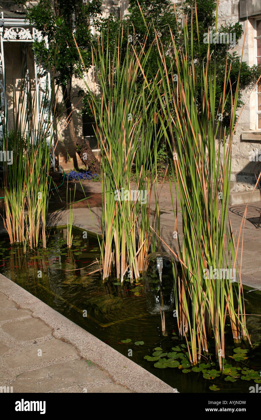 Pool between buildings Fredericksburg Texas Stock Photo - Alamy