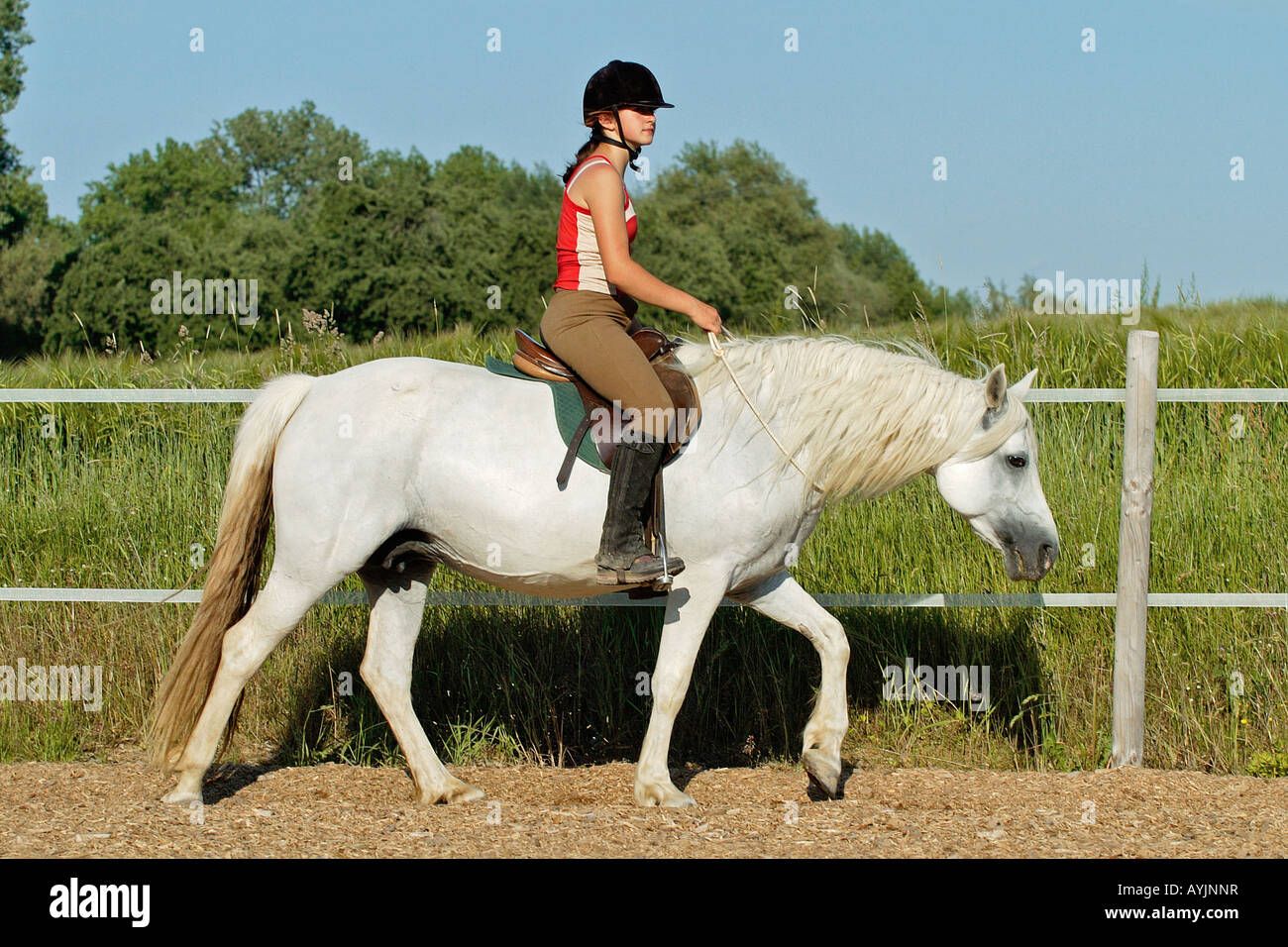 Girl riding on Connemara pony, using a neck ring Stock Photo - Alamy