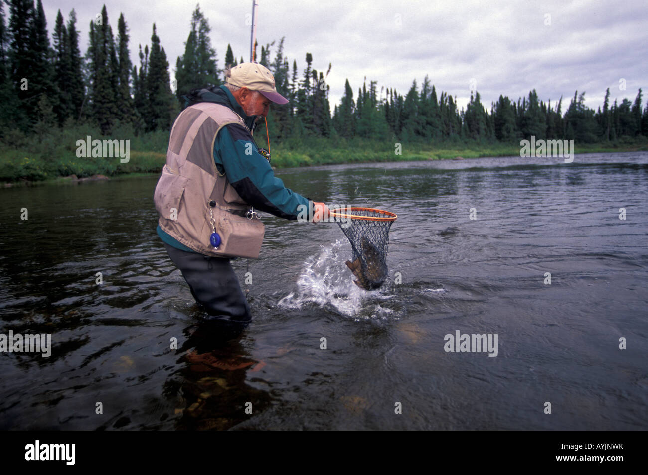 Netting trout hi-res stock photography and images - Alamy