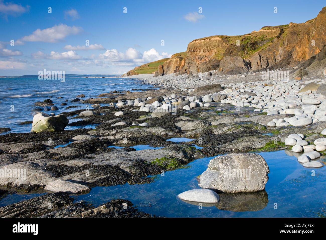 Abbotsham cliff hi-res stock photography and images - Alamy
