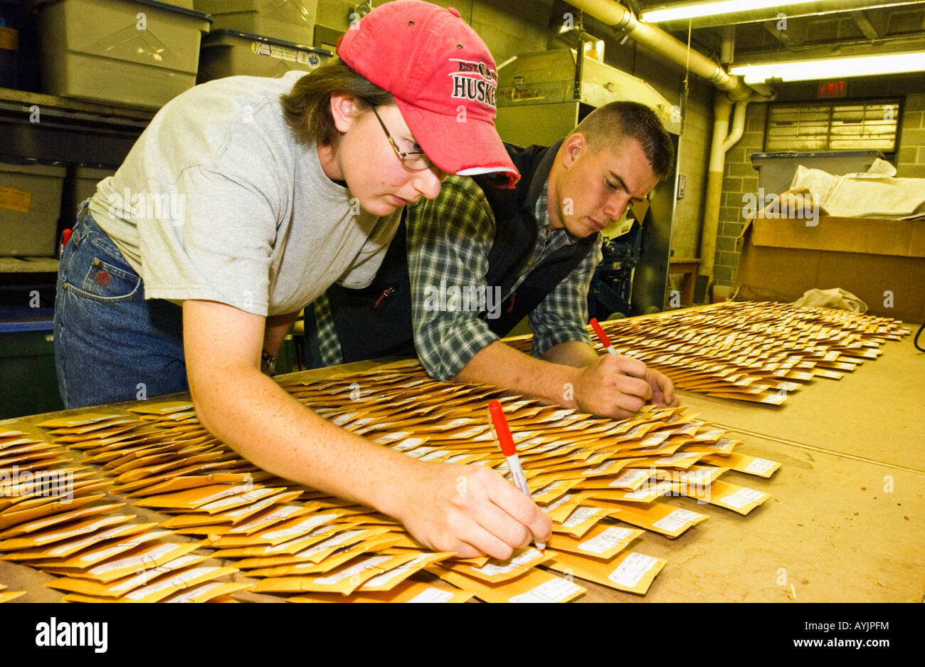 Student workers organize small grain samples Stock Photo - Alamy