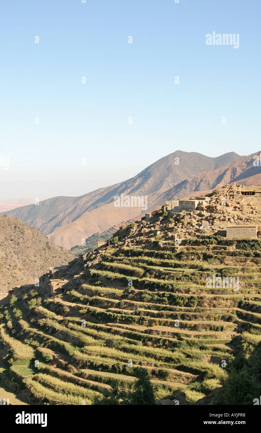 Berber village showing farming areas hi-res stock photography and ...