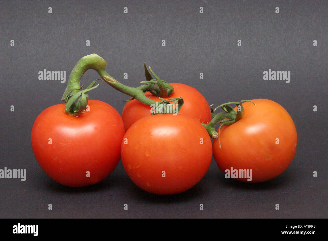 Bunch 4 tomatoes hi-res stock photography and images - Alamy