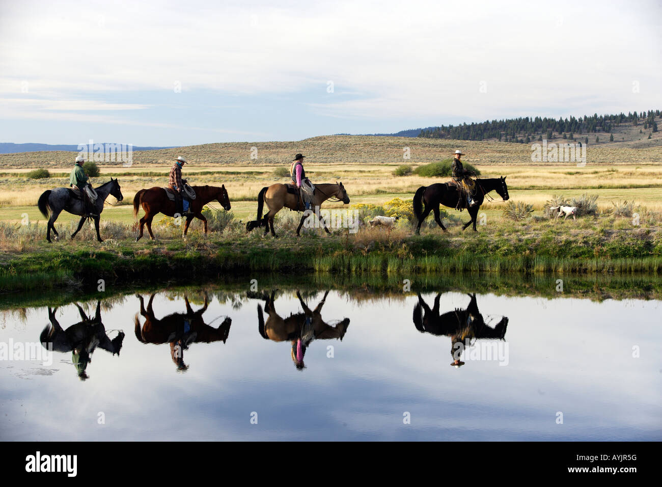 Dog with man riding a horse hi-res stock photography and images - Alamy