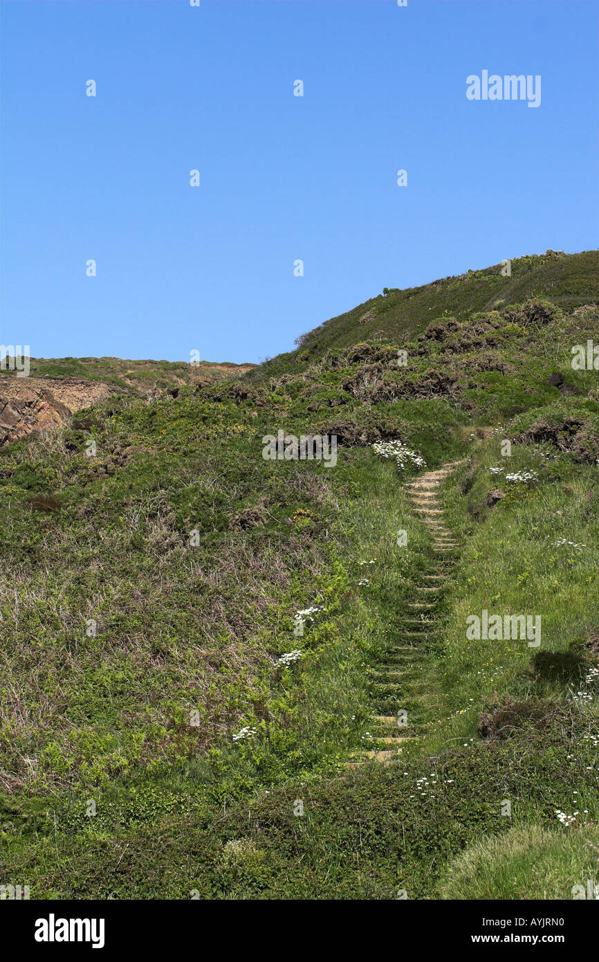 a coastal path with steps up the hillside above cliffs of hartland ...