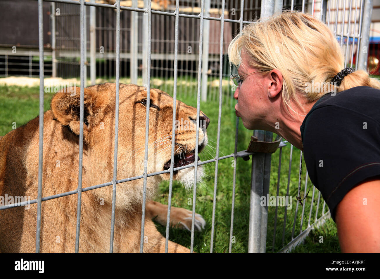 Female lion tamer Holland Stock Photo - Alamy