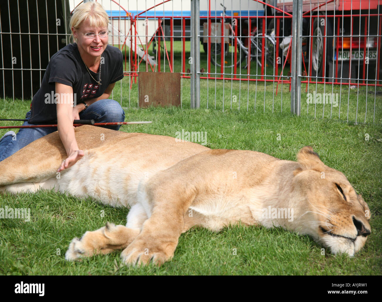 Lion tamer woman hi-res stock photography and images - Alamy