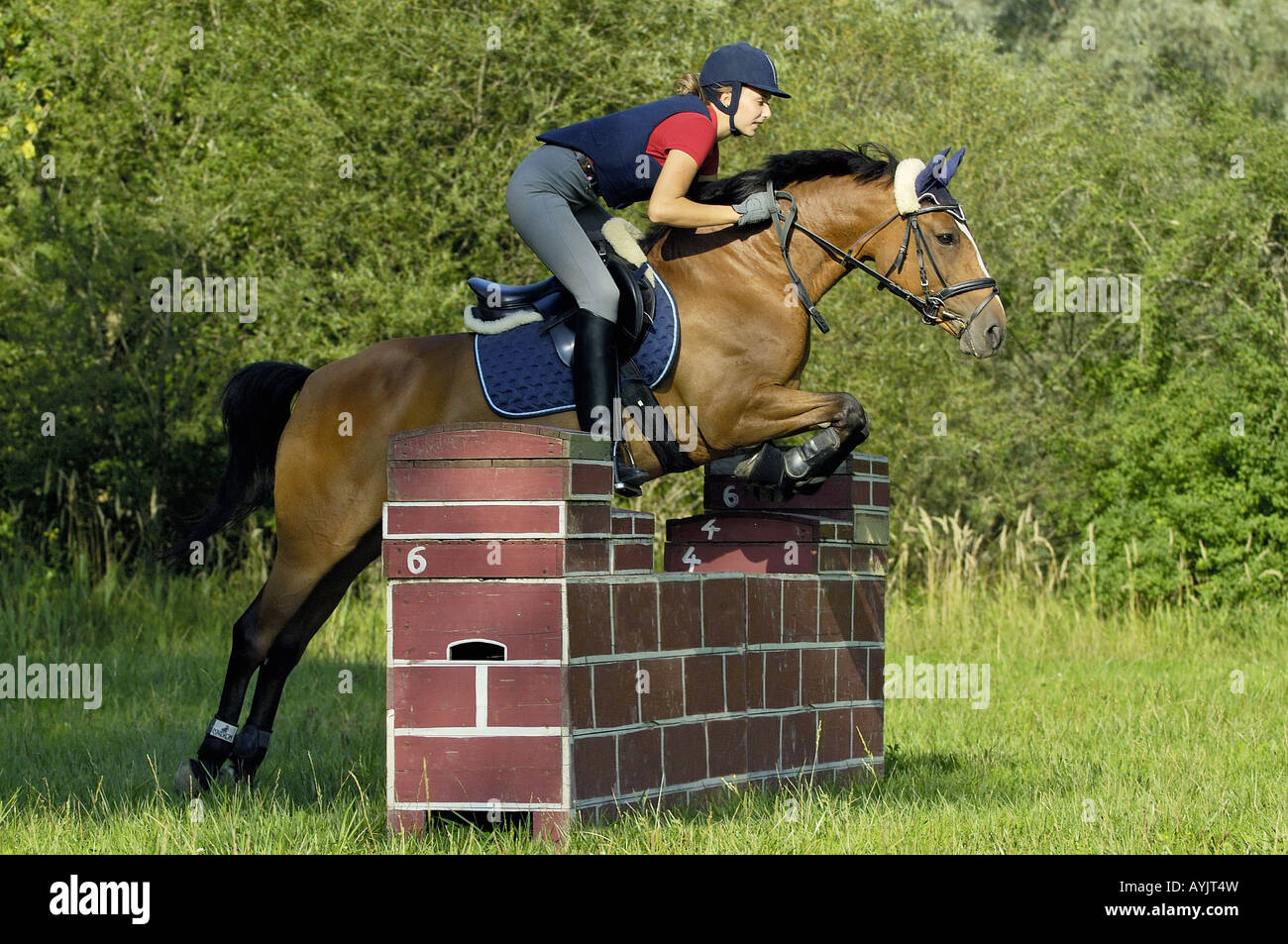 female rider jumping with a pony Stock Photo - Alamy