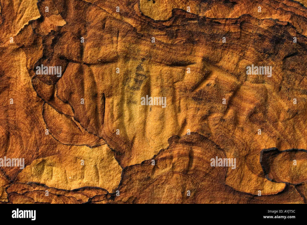 Detail of Sandstone Natural Bridge Arch Natural Bridge State Resort ...