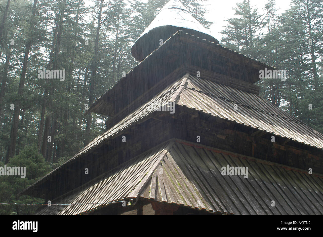 India Manali Kullu District Himachal Pradesh Northern India The Hadimba ...