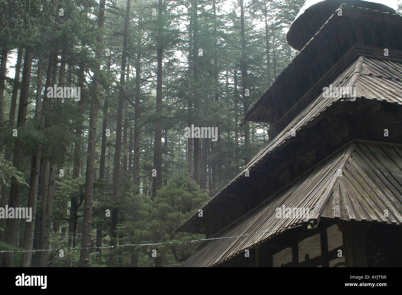 India Manali Kullu District Himachal Pradesh Northern India The Hadimba ...