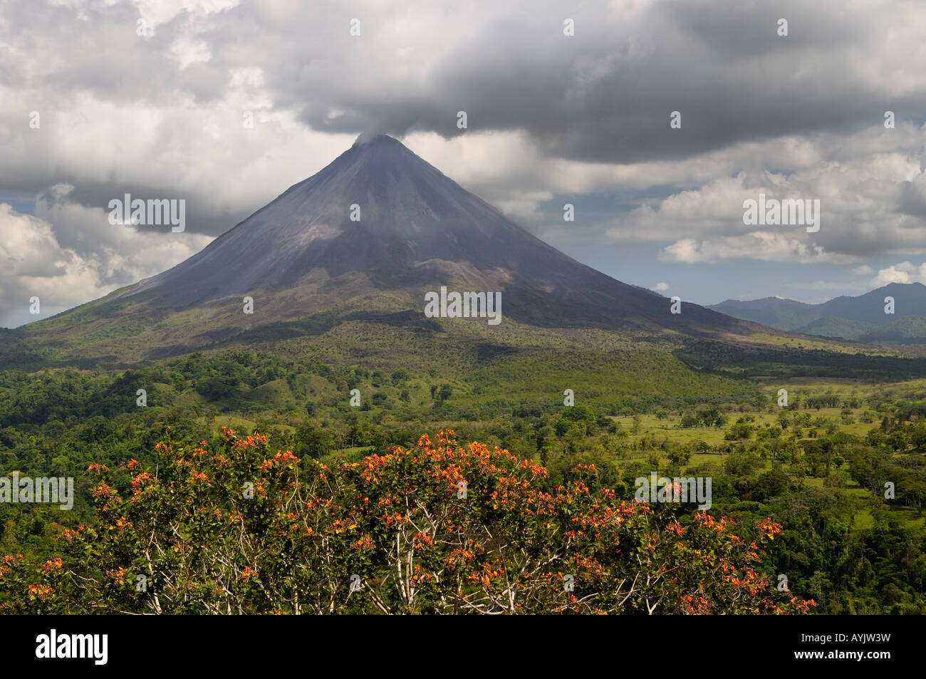 Smoking Arenal Volcano with rain clouds in Costa Rica with orange Poro ...