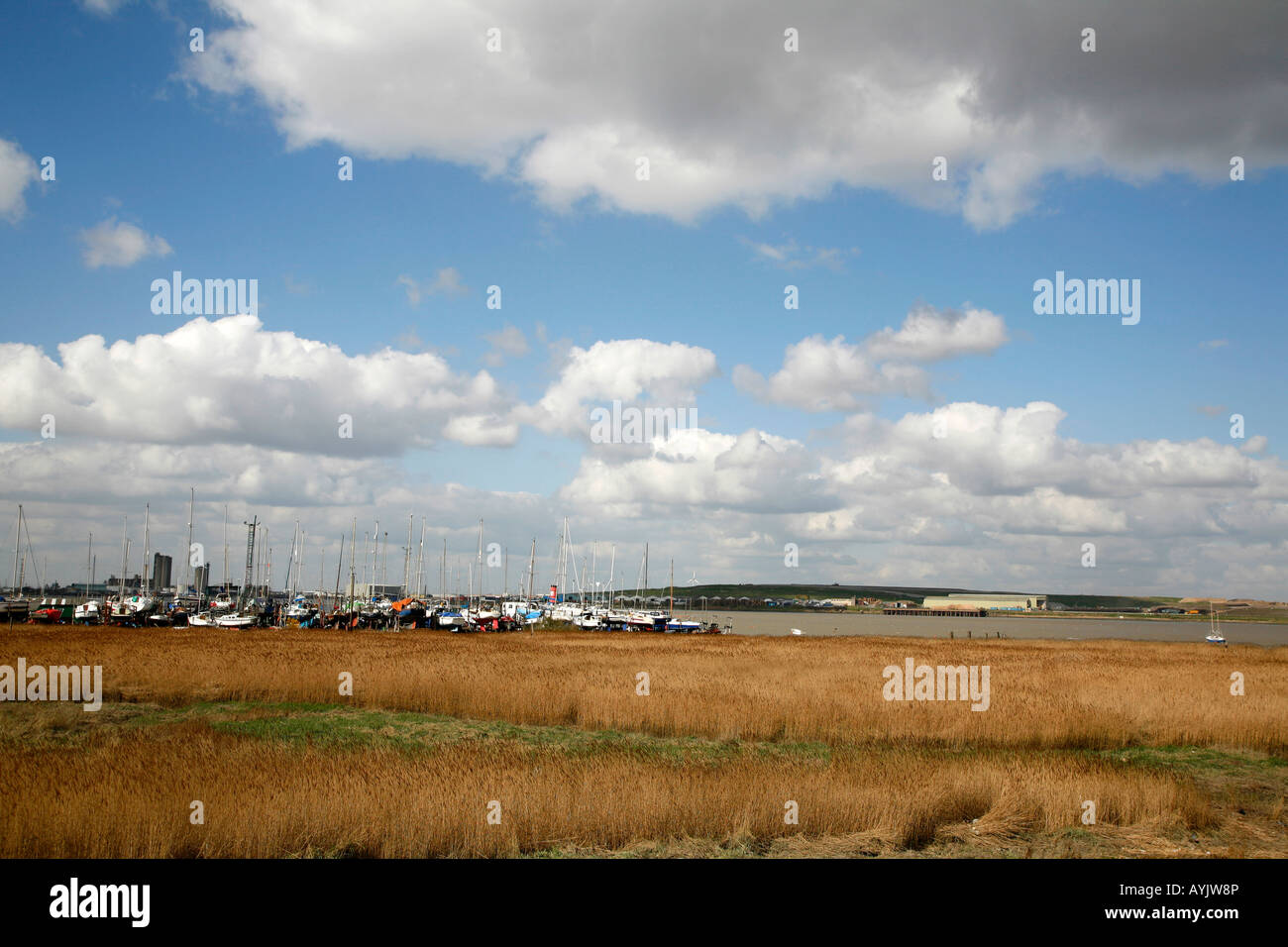 View over The Saltings in Crayford Marshes towards Erith Yacht Club in ...