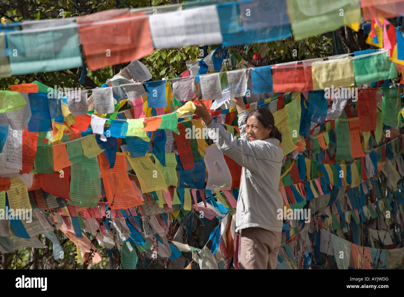 Tibetan woman stringing prayer flags, Minyong, Yunnan, China (focus on ...