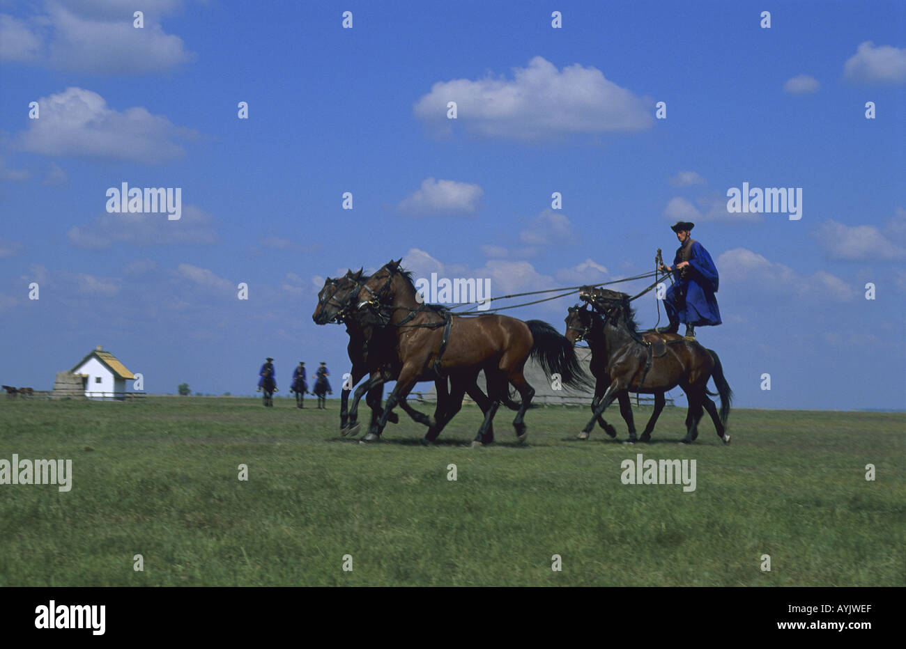 Pustza hi-res stock photography and images - Alamy