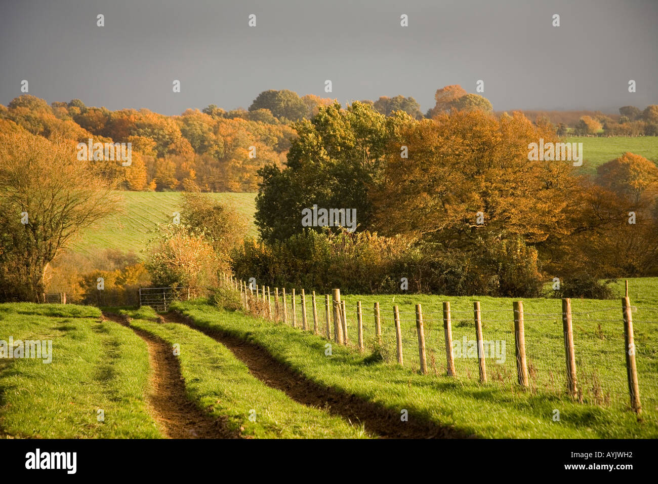 Kent countryside fields hi-res stock photography and images - Alamy