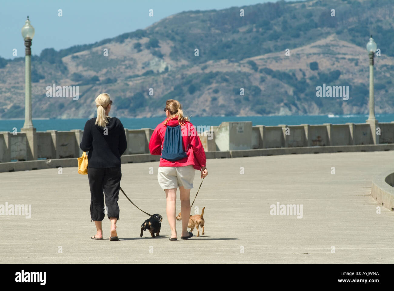 Two people walking dogs on boardwalk Stock Photo - Alamy