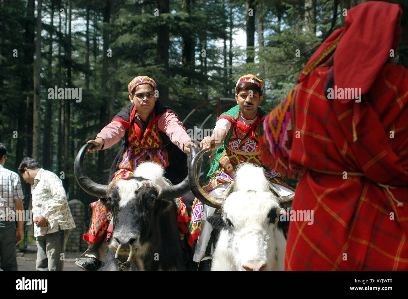 A wooden Pagoda style architecture local tourists riding a yak in ...