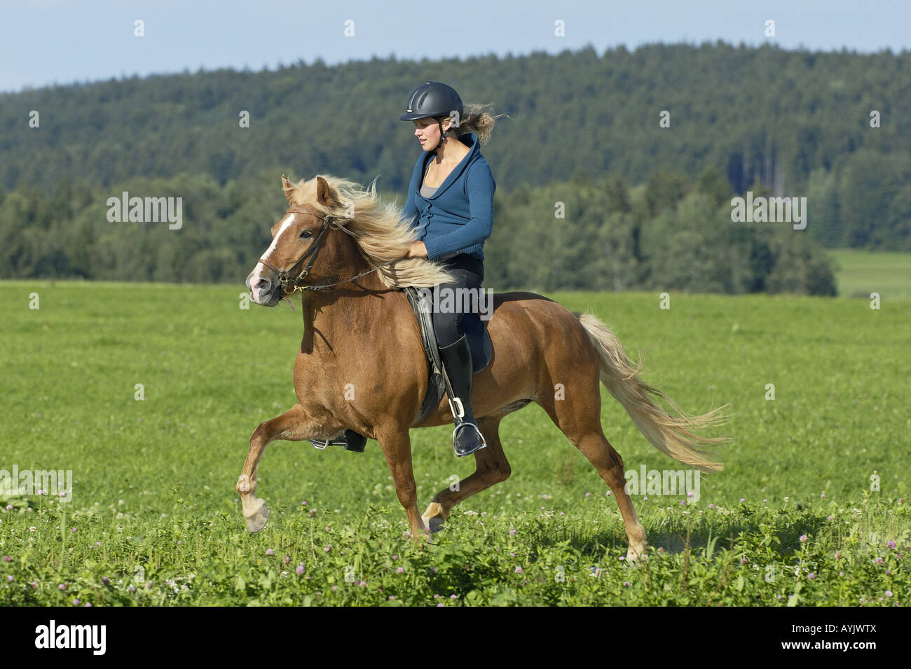 Flying pace iceland hi-res stock photography and images - Alamy