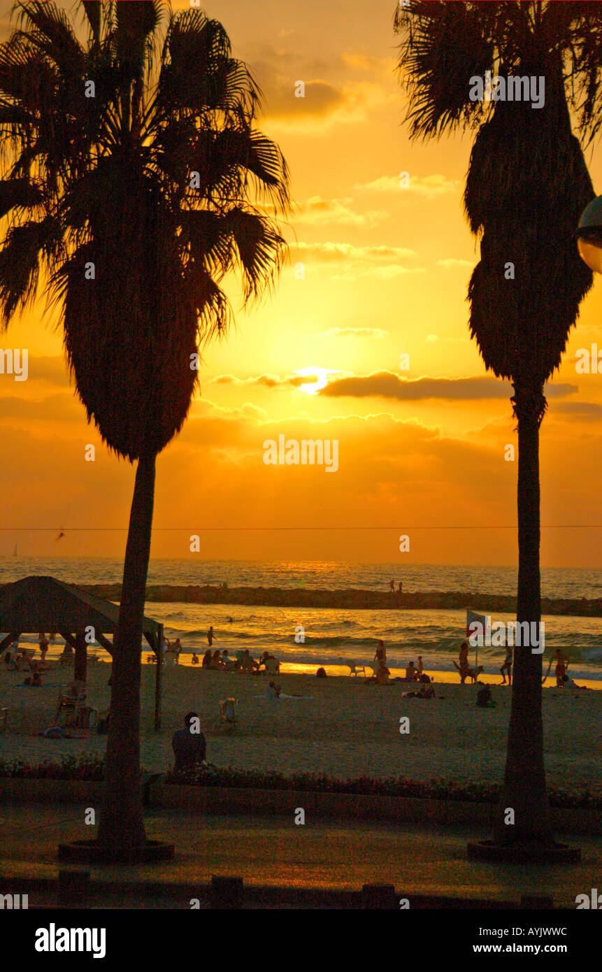 Mediterranean sun set framed by palm trees Stock Photo - Alamy