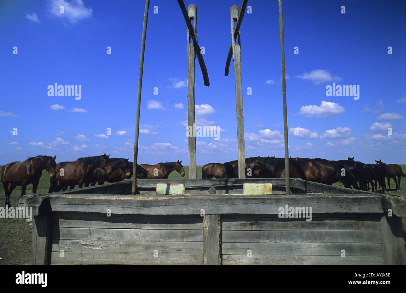 The Pustza Hungary Stock Photo - Alamy