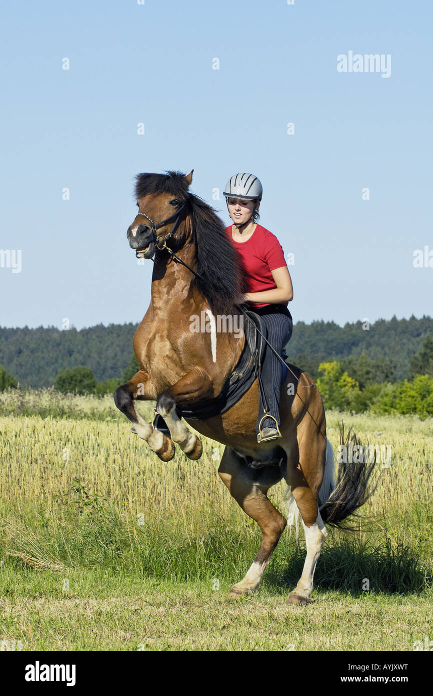 Rearing horse hat hi-res stock photography and images - Alamy