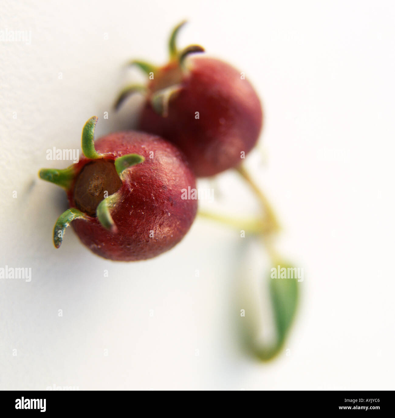 Dark red fruit hi-res stock photography and images - Alamy