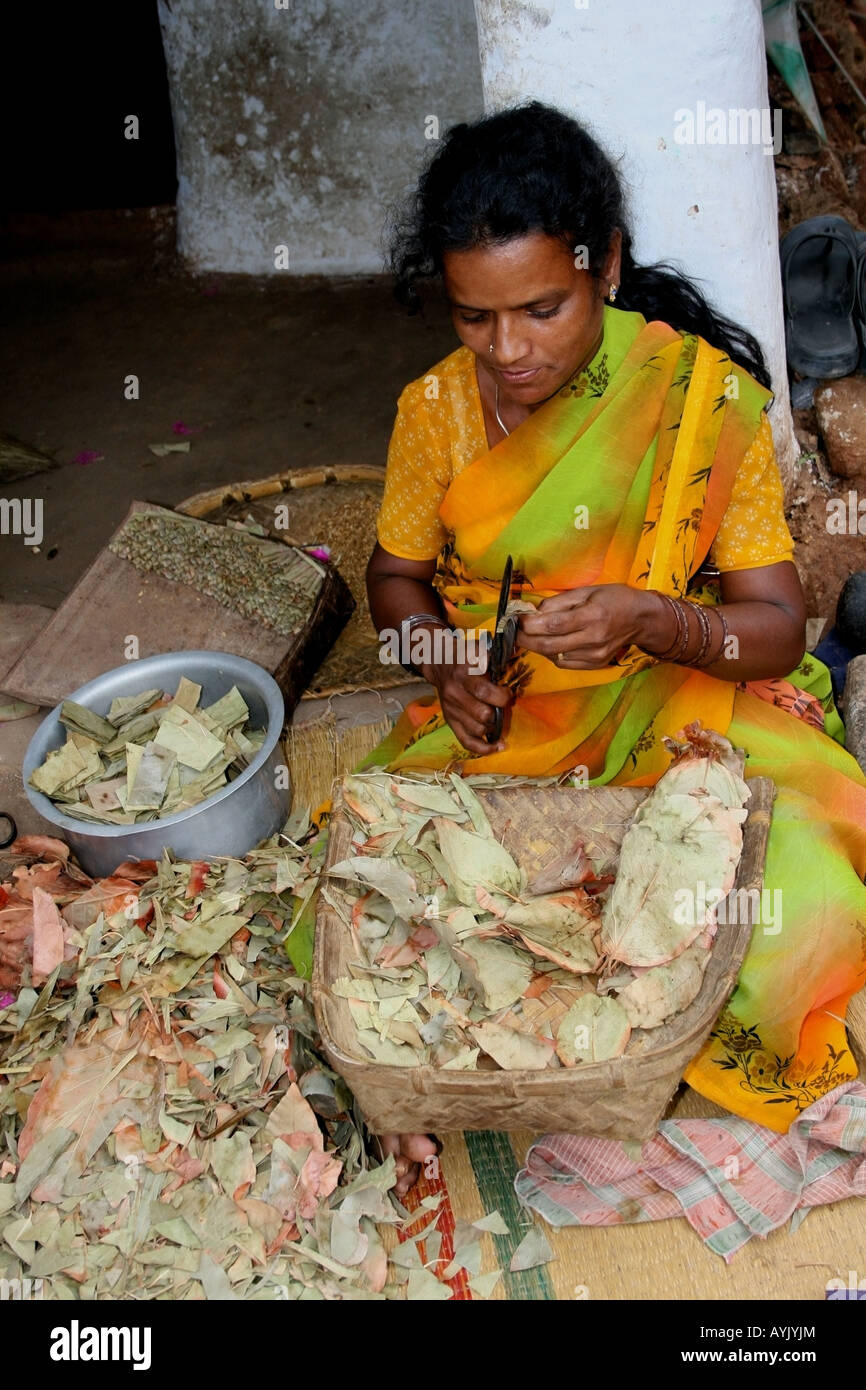 Bidi indian cigarette hi-res stock photography and images - Alamy