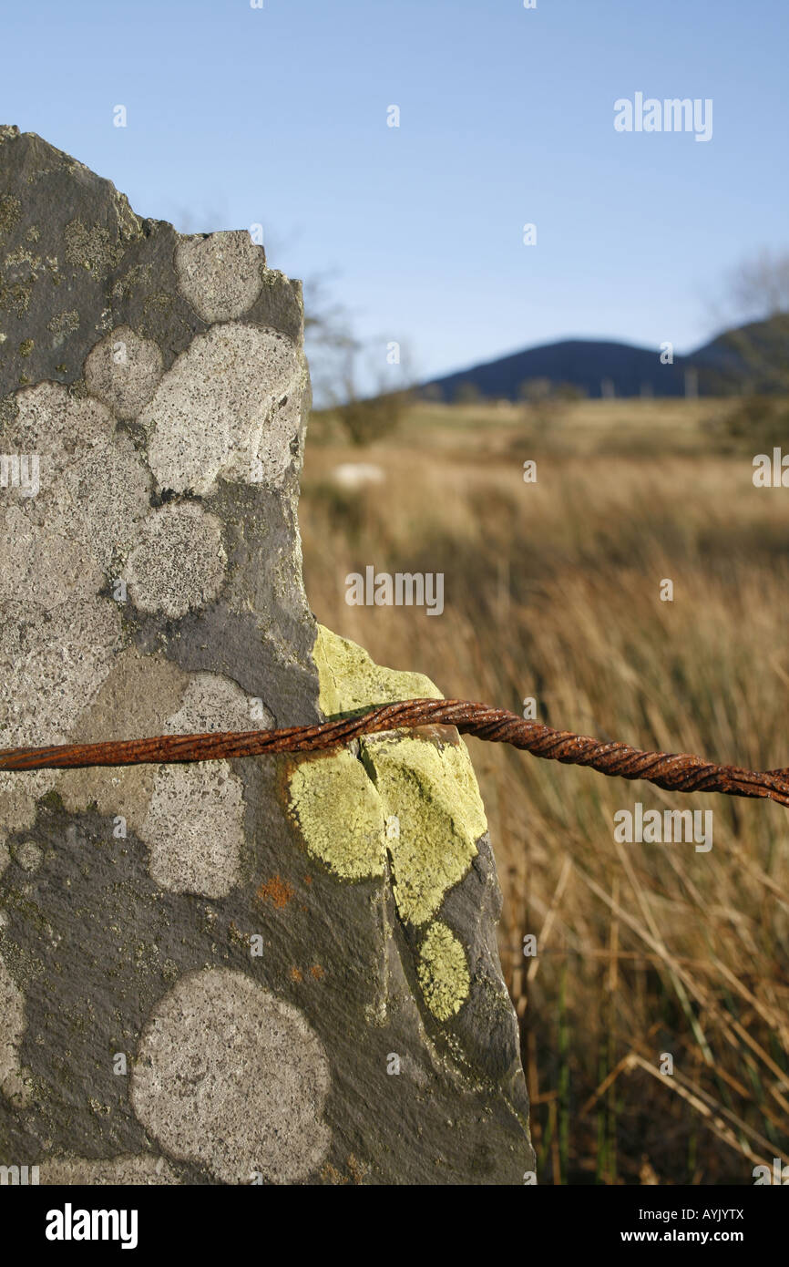 old old slate fence wall in snowdonia, north wales Stock Photo - Alamy