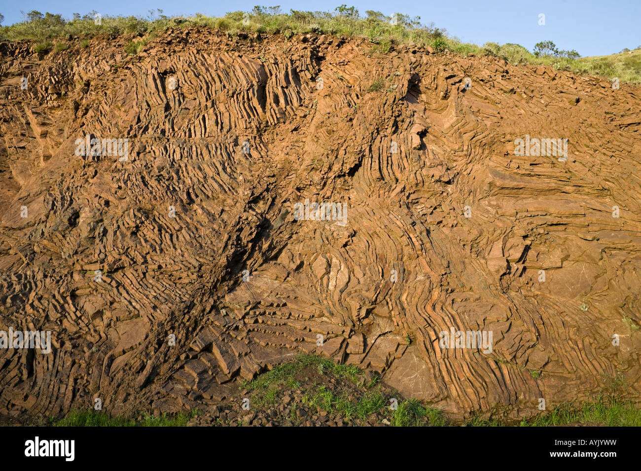 Folded ribbon chert near the Golden Gate Bridge Stock Photo - Alamy