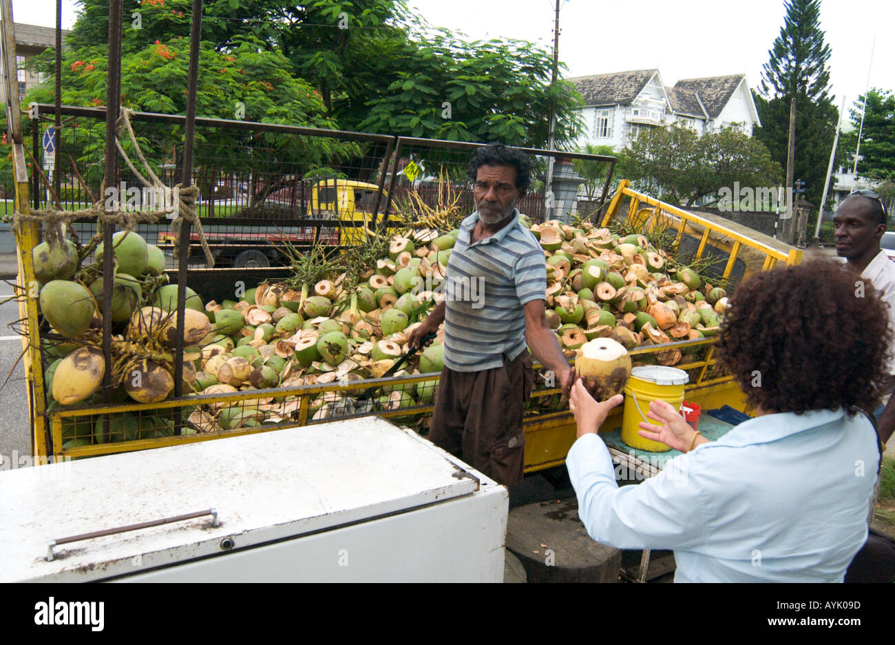 coconut water vendor in Port of Spain, Trinidad Stock Photo - Alamy