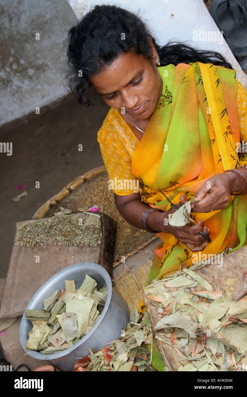 Woman in rural India rolling beedi cigarettes , Tamil Nadu , South ...