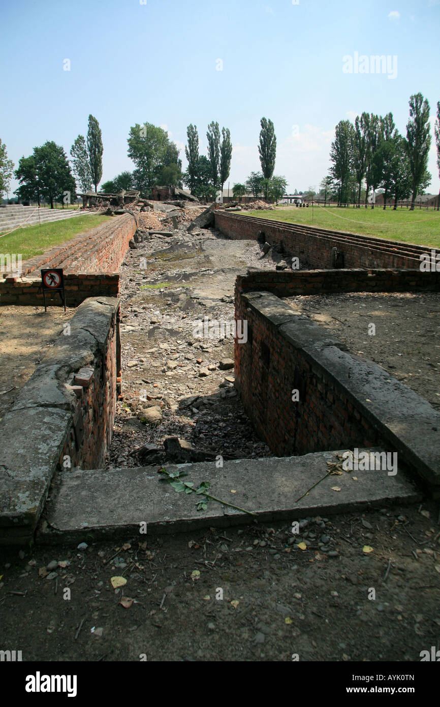 Steps into the underground changing area of Crematorium II at the ...