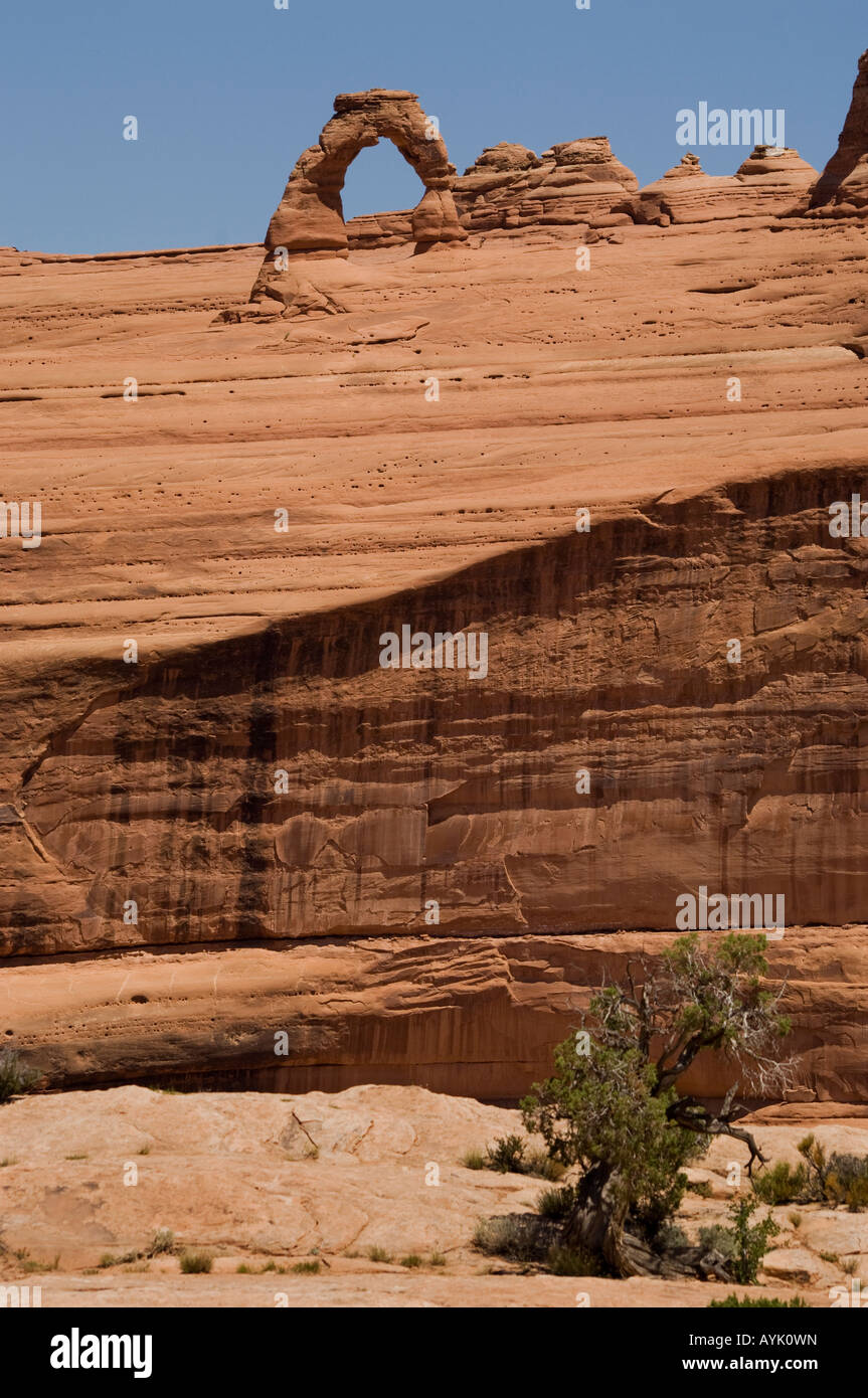 Delicate Arch Arches N.P Stock Photo - Alamy