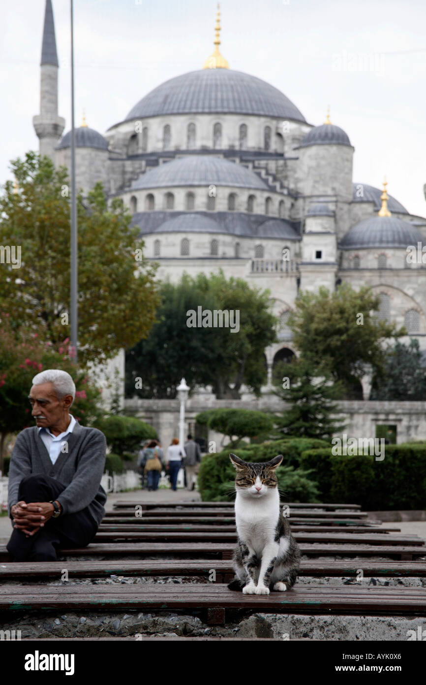 Cat and Turkish man on benches outside The Blue Mosque. Sultanahmet ...